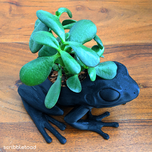 🐸 Frog Planter・ STL File for ・Cults