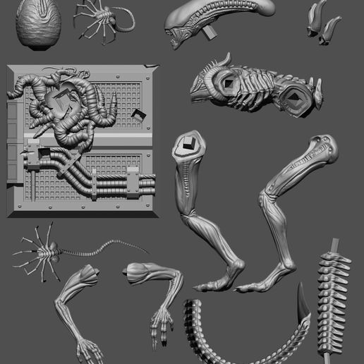 xenomorph drone drawing