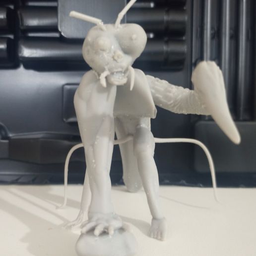 STL file Human-Mantis Hybrid 👹 ・Model to download and 3D print・Cults