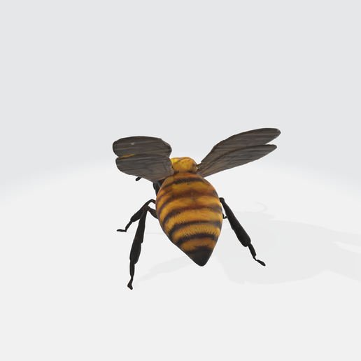 🐝 Realistic 3D Bee Model - Insect Asset・ 3D File for 3D printing and Electronics - PCB・Cults