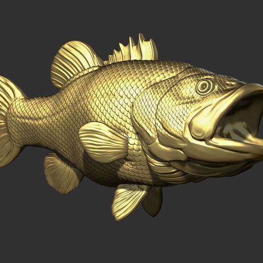 🐠 Largemouth bass・ STL File for ・Cults