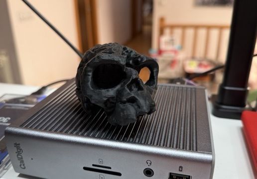 💀 Recreation Skull Kenyanthropus platyops・ STL File for 3D printing・Cults