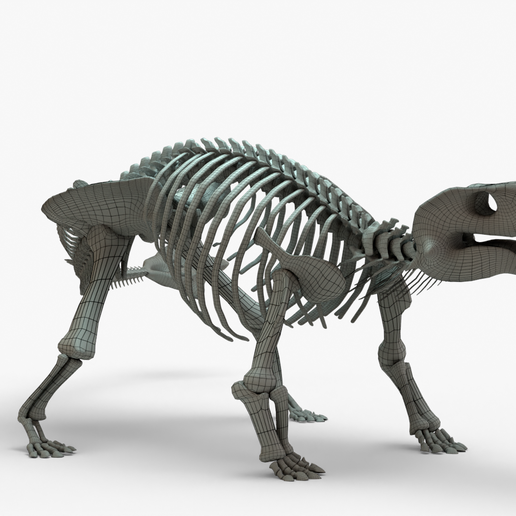 💀 Ankylosaurus Dinosour esqueleto Rigged 3D Print Model・Archivo STL ...