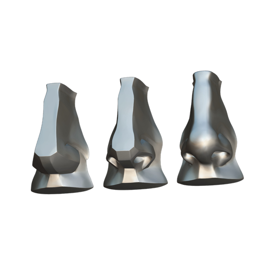 👃 Planes of The Nose (David's Nose)・ 3D File for 3D printing・Cults