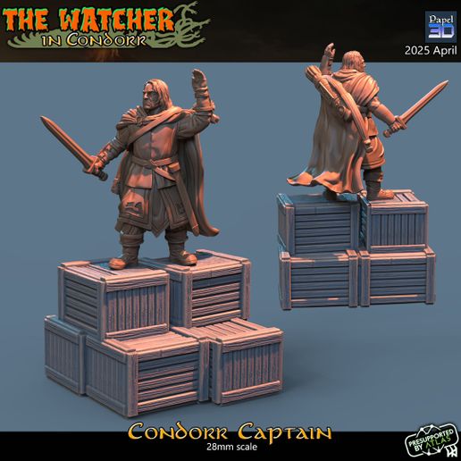 🎲 Condorr Captain・ STL File for 3D printing・Cults
