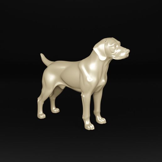 STL file Labrador Retriever 3D Model – Realistic Dog STL for 3D ...