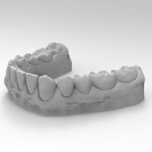 🫀 Anatomical Human Teeth Model Set 6 – 3D Print Ready・ STL File for 3D ...