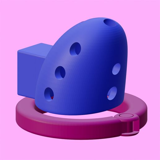 🤐 BDSM Permanent Denial Forever Chastity Cage・ STL File for 3D printing ...