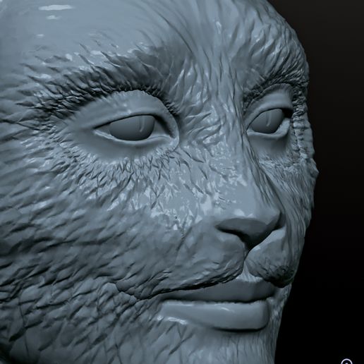3D file Action Figure Head "Cat People Feline Warrior Female" 🐱 ・3D ...