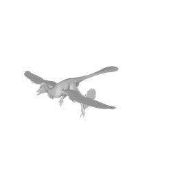 microraptor skeleton stl