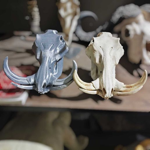 🐗 Boar Skull・ STL File for 3D printing・Cults