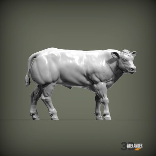 STL file Calf Belgian Blue 3D print model 🐂 (OBJ)・Design to download ...