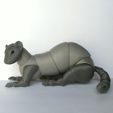 STL file Ferret BJD 🎲 ・3D print design to download・Cults