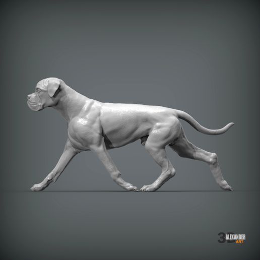 🐕 Boxer dog running・ 3D File for 3D printing・Cults