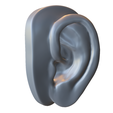 👂 Realistic Human Ear Anatomy Model・ STL File for 3D printing・Cults