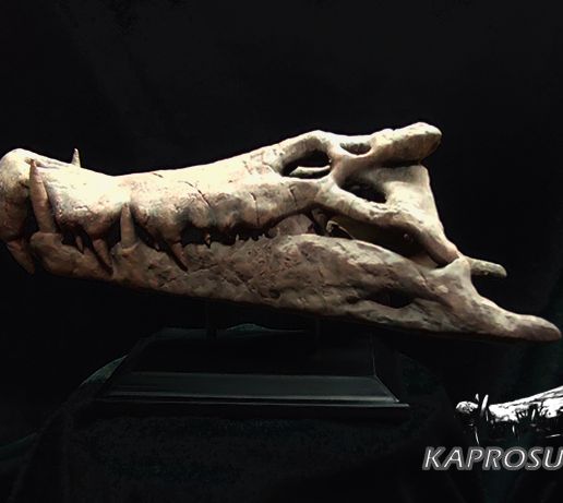 Esqueleto De Kaprosuchus Kaprosuchus Gigantis | Gigan389 Wiki | Fandom