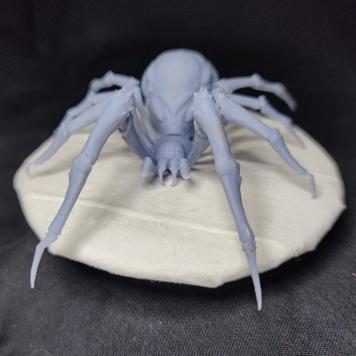 🕷️ Venomous Spider - Hogwarts Legacy・ STL File for ・Cults
