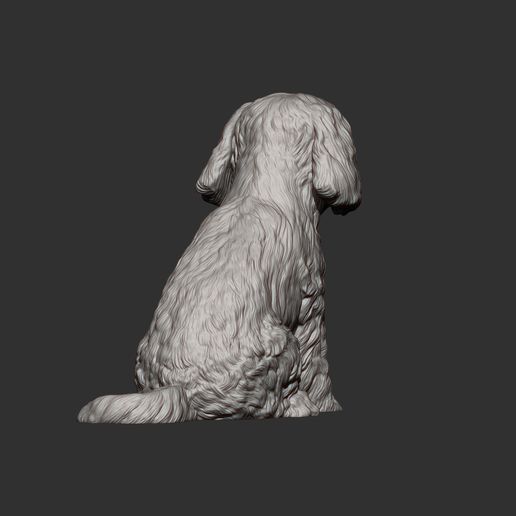 🐕 Maltese dog sitting 3D print model・ STL File for 3D printing・Cults