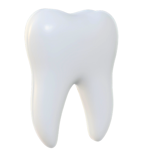 🦷 Human Tooth 1・ STL File for 3D printing・Cults