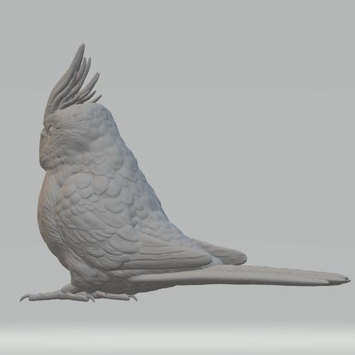 STL file Parrot 3D print model 🦜 ・3D printing model to download・Cults