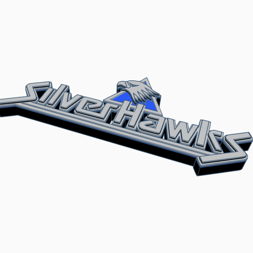 silver hawk logo