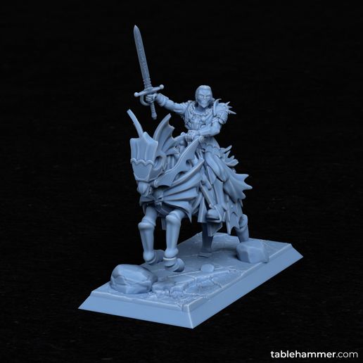 🧛 Vlaroy - Vampire rider・ 3D File for 3D printing・Cults