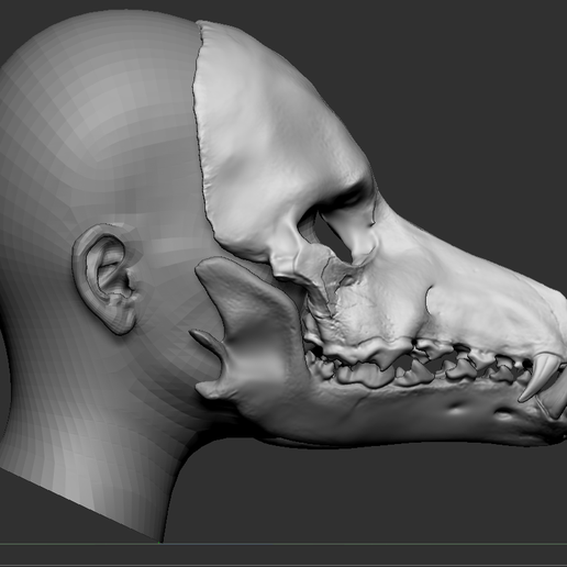 🐕 Dog Skull Scary mask for cosplay・ 3D File for ・Cults