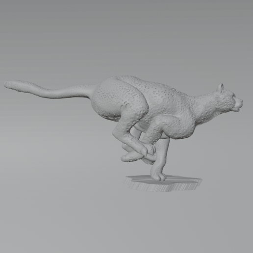 🐆 Cheetah・ STL File for 3D printing・Cults