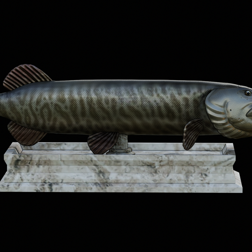 🐠 fish pike muskellunge muskie / Esox masquinongy open mouth statue ...