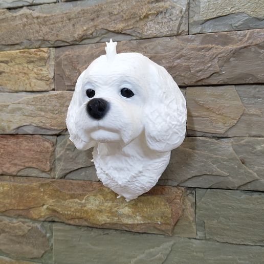 dog head wall mount