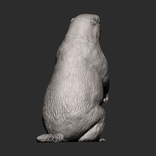 🐕 Prairie dog on its hind legs 3D print model・ STL File for 3D printing ...