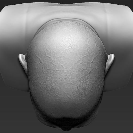 🎨 Lord Voldemort from Harry Potter for full color 3D printing・ 3D File ...