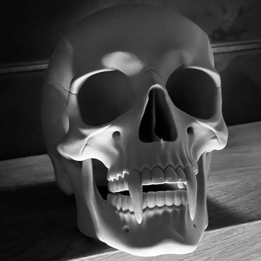 hyper realistic skull