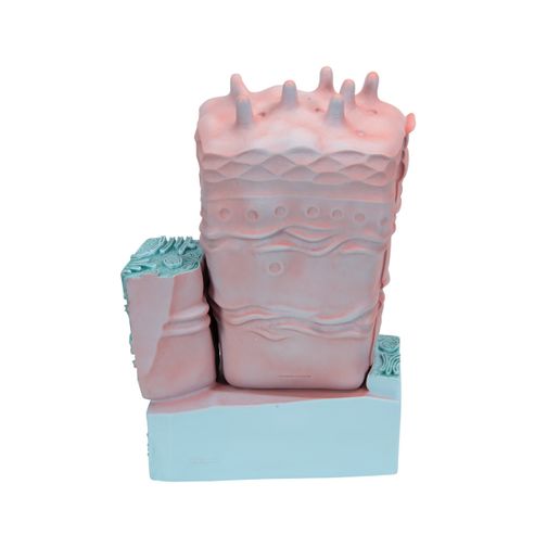 🩻 3D Animal Cell Structure Model・ STL File for 3D printing・Cults