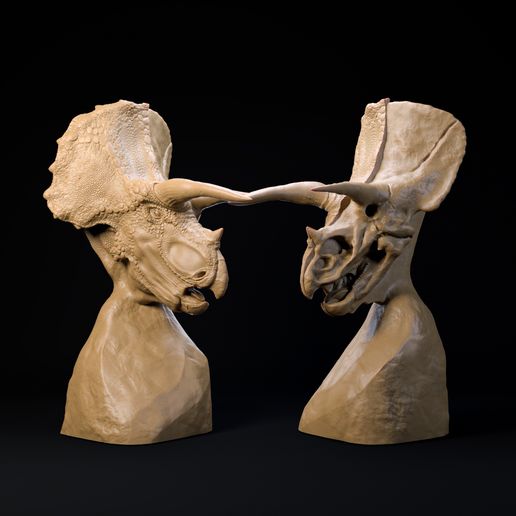 3D file Triceratops split skeleton bust - pre supported 🦖 ・Design to ...