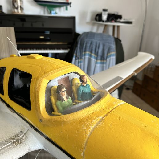 🧑‍ ️ drivers for Cirrus Dynam SR22 / Pilot plane・ OBJ File for 3D ...