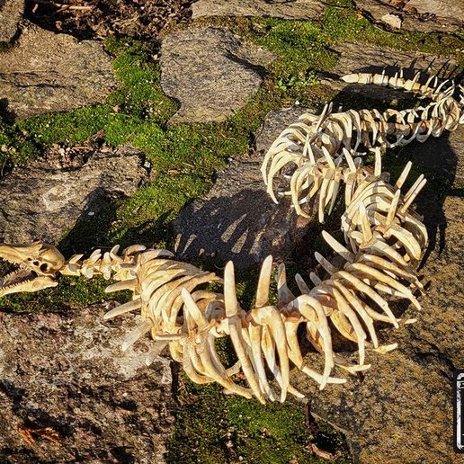 💀 Articulated Gargantuan Leviathan Skeleton - Subnautica・ STL File for ...
