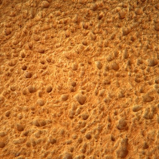 🍞 Bread PBR Texture・ 3D File for 3D printing・Cults