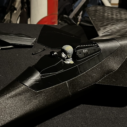 🧑‍ ️ Pilot Canopy for F-22 Raptor Twin 40mm EDF by ptikyle・ STL File ...