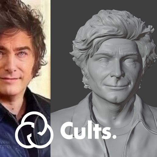 👤 REALISTIC BUST OF MILEI CHAD VOTING・ STL File for 3D printing・Cults