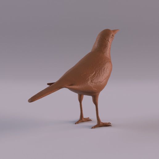 🐦 Magpie・ STL File for 3D printing・Cults