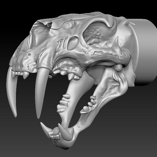 🔨 Sabertooth Knight Head・ OBJ File for 3D printing・Cults