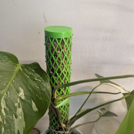 🌿 Moss Pole Modular・ STL File for 3D printing・Cults