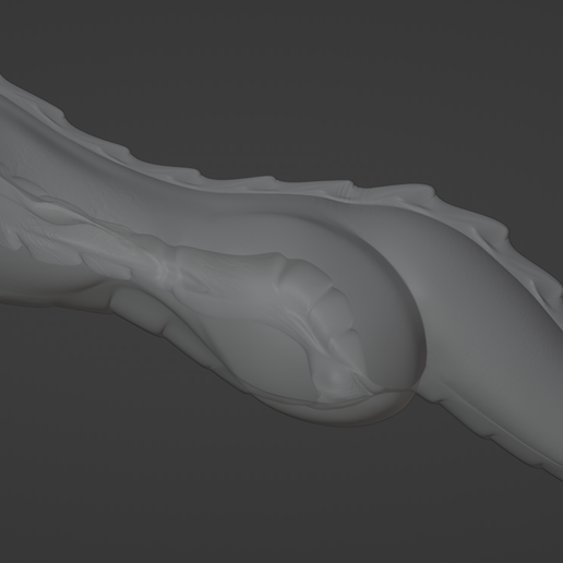 🐉 Fantasy Dragon Masturbator: Azurean the Wyvern・ STL File for ・Cults