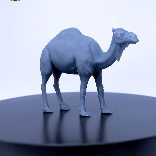 3D printable Camel - STL - RPG MINIATURE • made with elegoo mars 3 pro ...