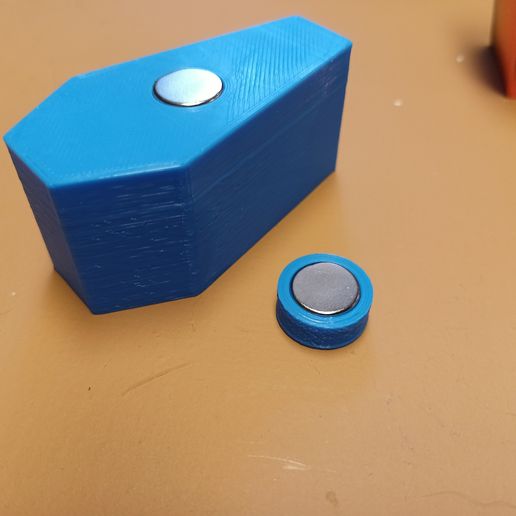 ⚰️ Coffin magnetic spider insect hide for your pets enclosure Vivarium ...