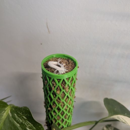 🌿 Moss Pole Modular・ STL File for 3D printing・Cults