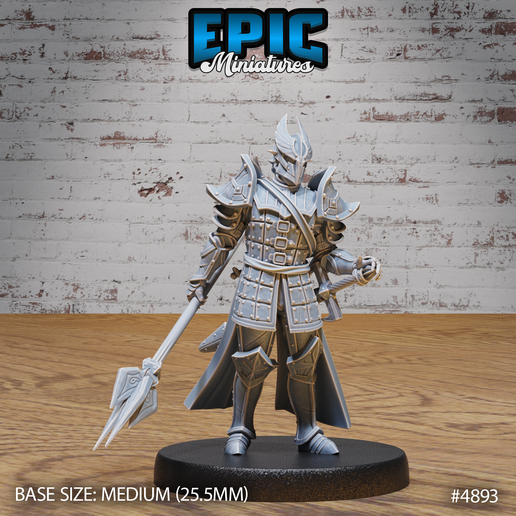 🎲 Platinum Paladin Set ‧ DnD Miniature ‧ Tabletop Miniatures ‧ Gaming ...