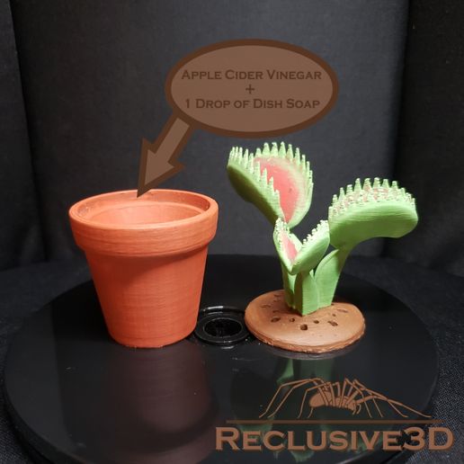 🪰 Venus Fruit Fly Trap・ STL File for ・Cults