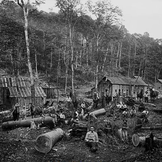 🏠 LOGGING CAMP 1:87 HO SCALE・Free 3D File for ・Cults